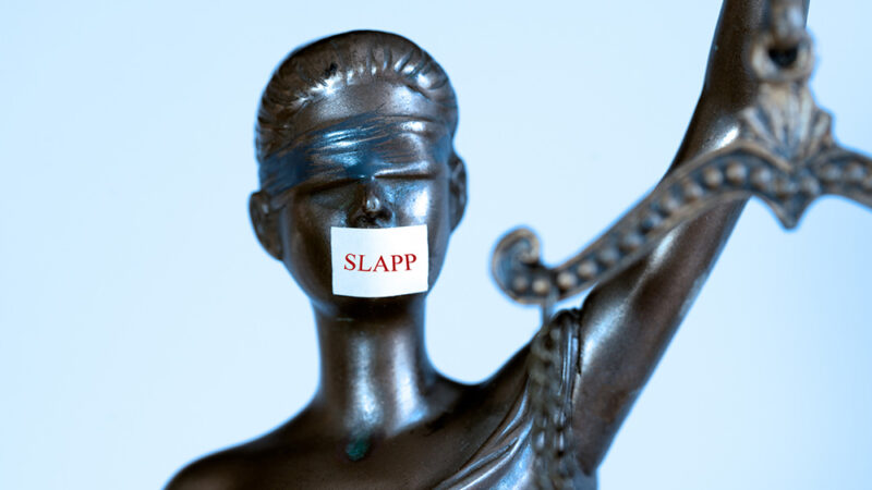 Anti-SLAPP Laws: Protecting Your Right to Speak Up