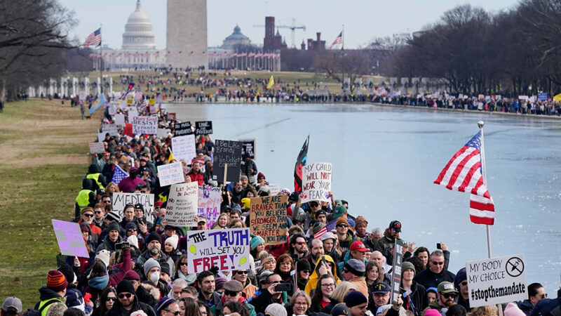 15 Freedom of Assembly Examples You Should Know