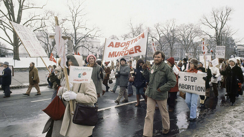 15 Freedom of Assembly Examples You Should Know
