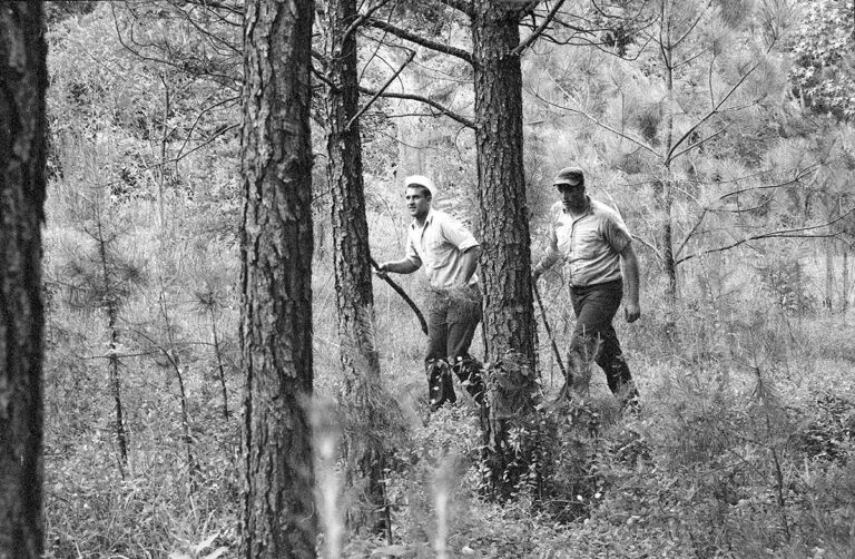 Freedom Summer 1964: Unforgettable Stories and Images